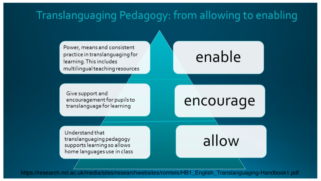 What is translanguaging? – annamend